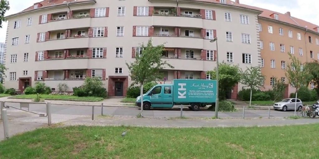 Eine typische Taube in Berlin | Authentic German Learning